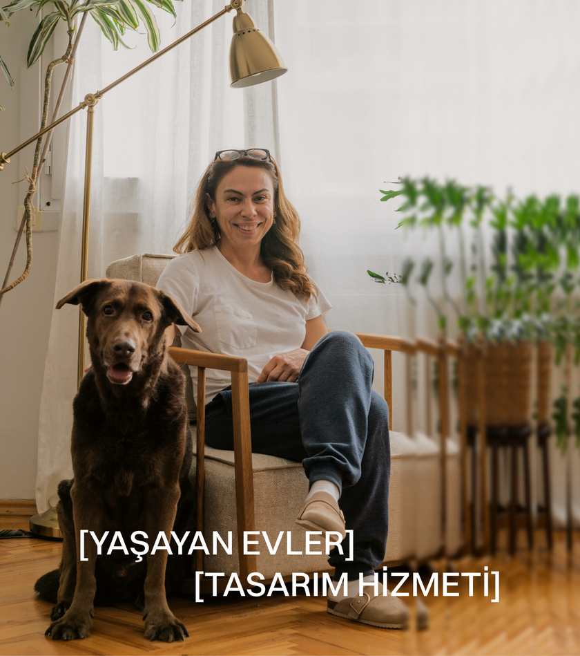 Randevu – Hamm Design